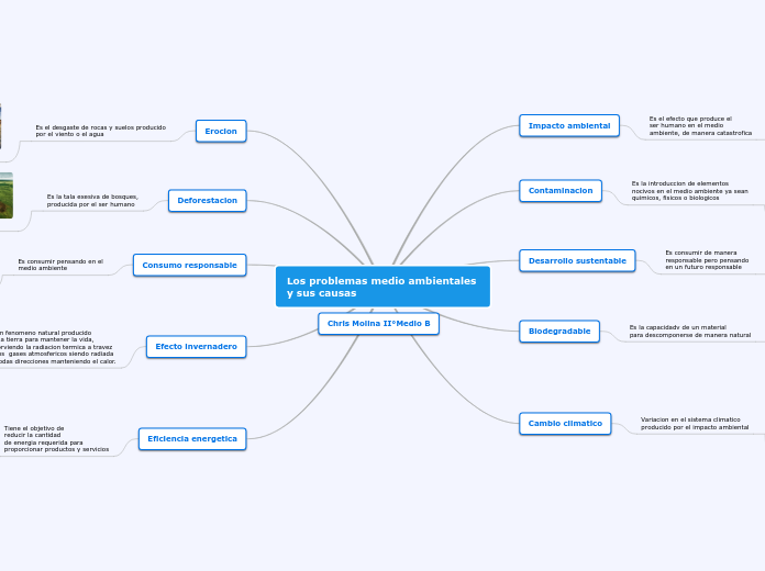 Los problemas medio ambientales y sus caus...- Mind Map